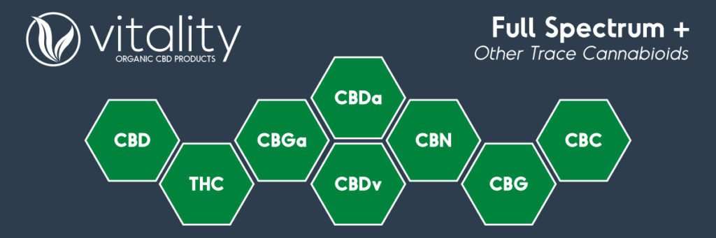 Comparing the Different CBD Spectra | Vitality CBD News